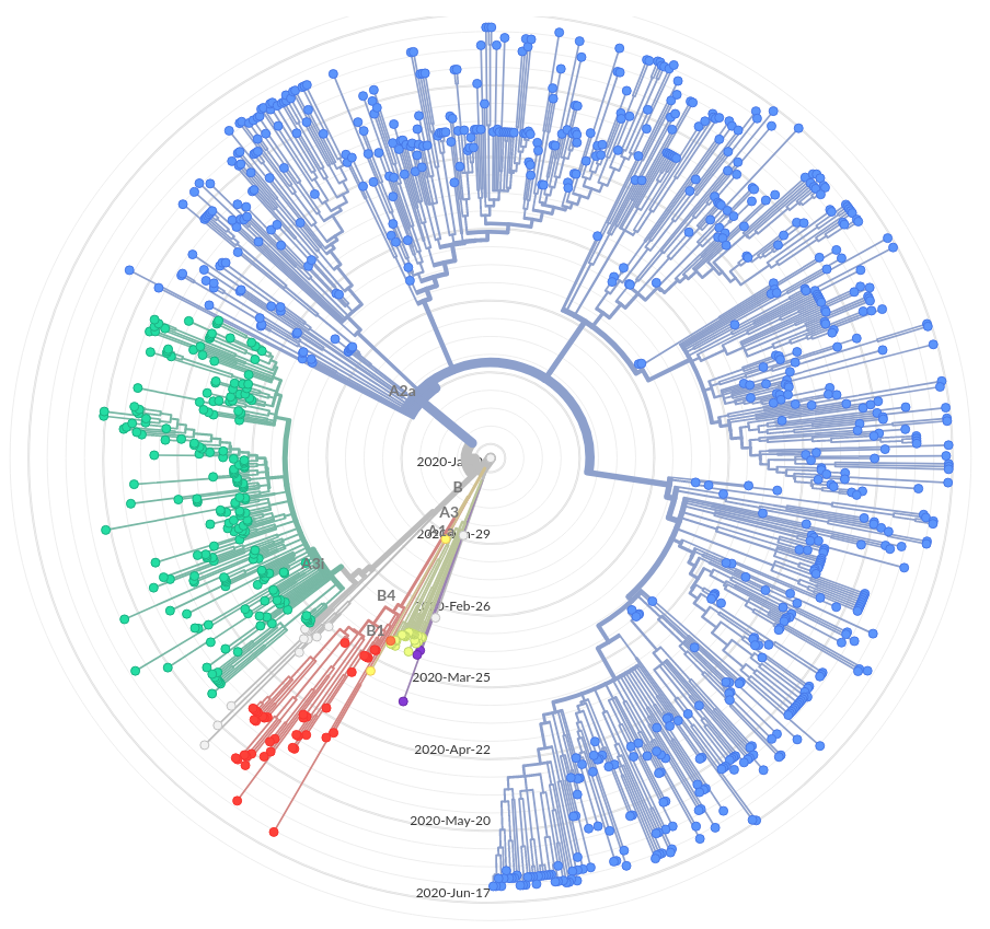 SARS-CoV-2 Nextstrain Analysis - BIC CCMB